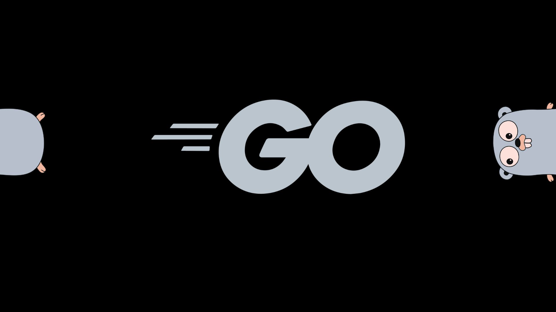 Understanding the Variadic Syntax (...) in Go: A Comprehensive Guide | PersistDev.blog - Web ...